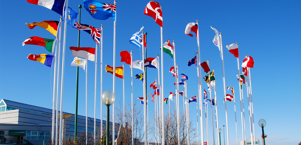 The Globalisation of Sports Competitions | Trinity Business Review